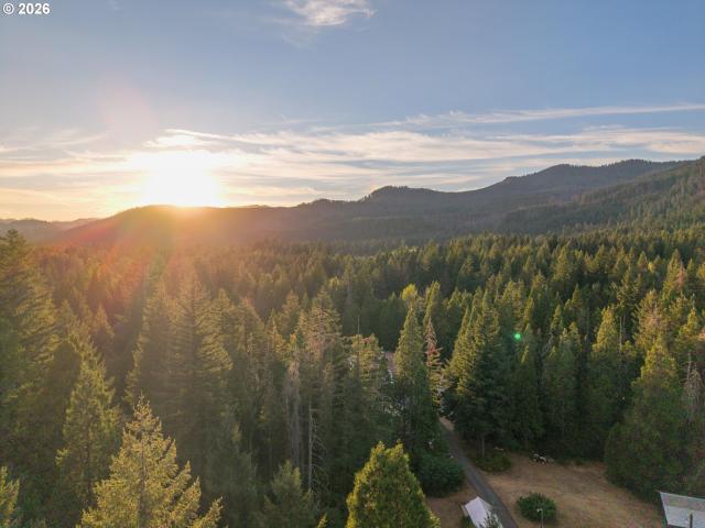 55533 mckenzie river dr