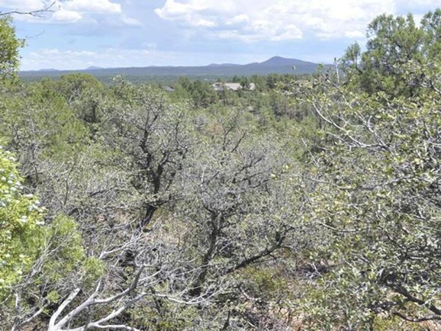 555 E Snowcap Ct, Show Low, AZ 85901