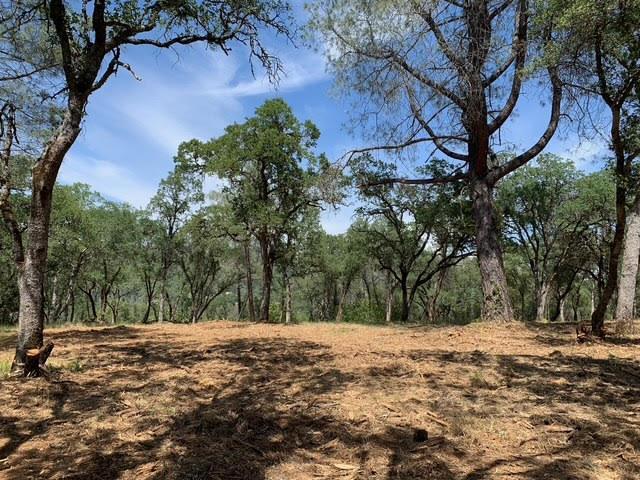 555 Jurgens Rd, Rescue, CA 95672 | MLS #226016