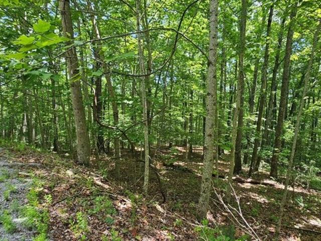 555 Oak Leaf Ln, Dunlap, TN 37327