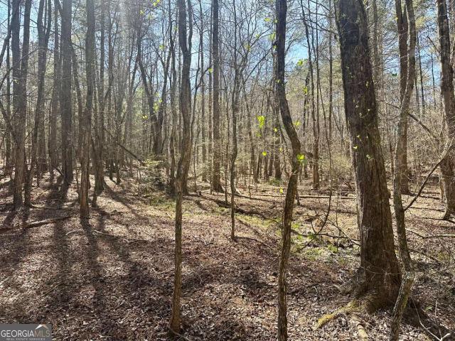 555 Larmon Forks Road