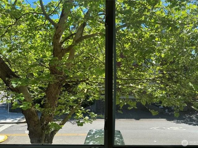555 N 105th St, Seattle, WA 98133