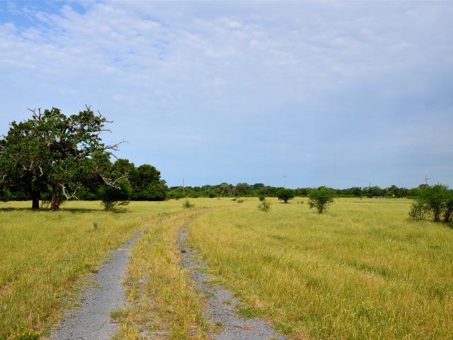 5564 Highway 90, Marianna, FL 32446 | MLS #20639
