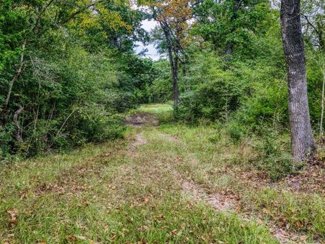 5564 Highway 90 N, Anderson, TX 77830