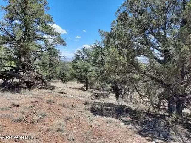 55651 N Los Damas, Seligman, AZ 86337 MLS 1067022