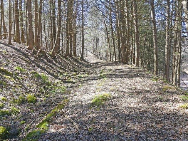 5565 Beech Hill Rd, Andes, NY 13731