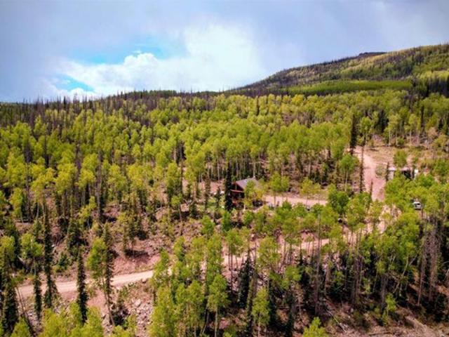 5565 Forest Rd # 504, Creede, CO 81130