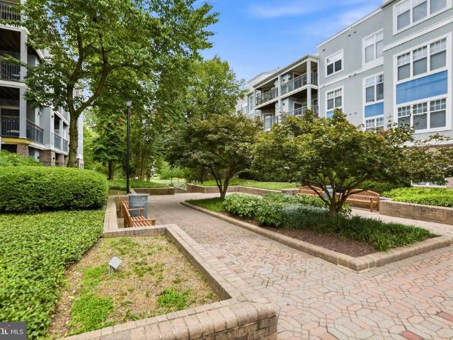 5565 Seminary Road # 314