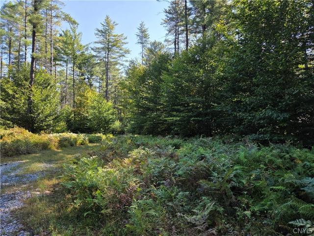 5566 Partridgeville Road