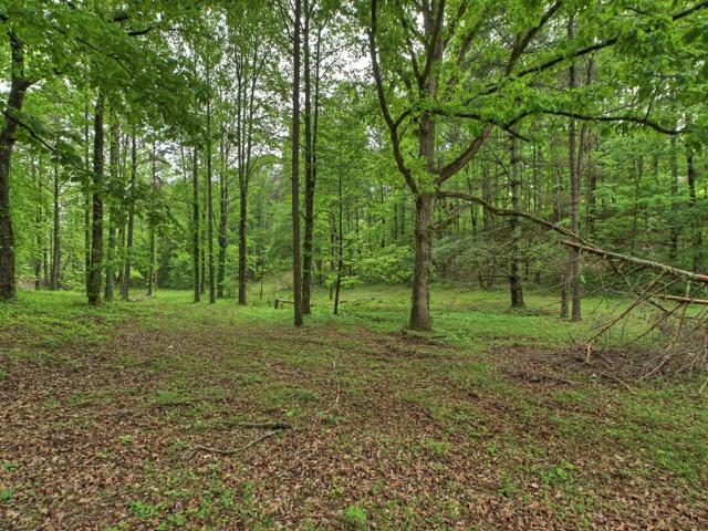 5568 Highway 382, Ellijay, GA 30540 | MLS #430134