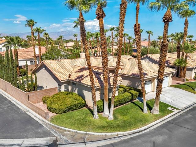5569 Wild Olive Street