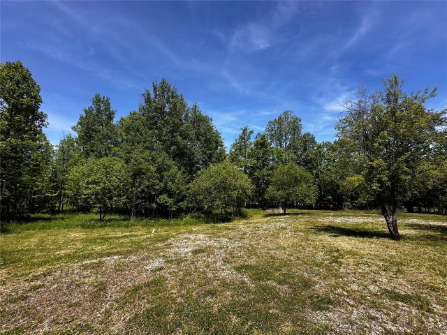 5560 zessinger road