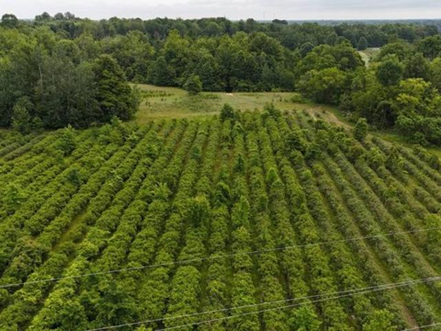5563 Baseline Rd, Grand Junction, MI 49056