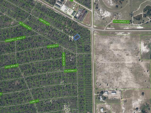 556 Ebbtide Lake, Placid, FL 33852 | MLS #A11909