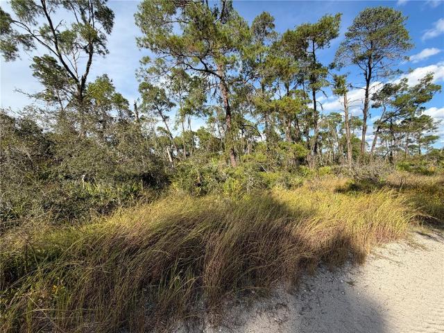556 Quail Ave, Sebring, FL 33872 | MLS #O6366