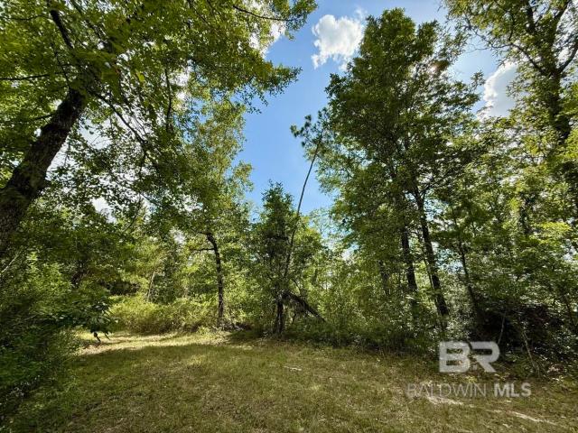 5573 County Road 1