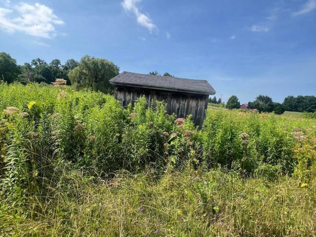 557 Old Sharon Rd, Canajoharie, NY 13317 | MLS #202615 | Compass