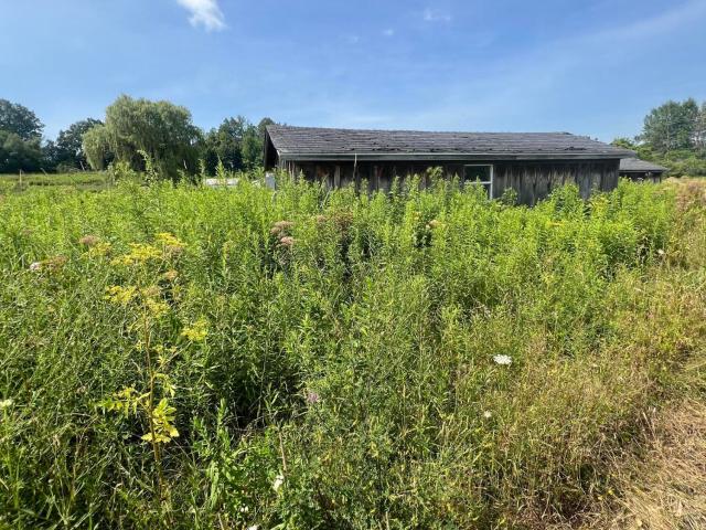 557 Old Sharon Road