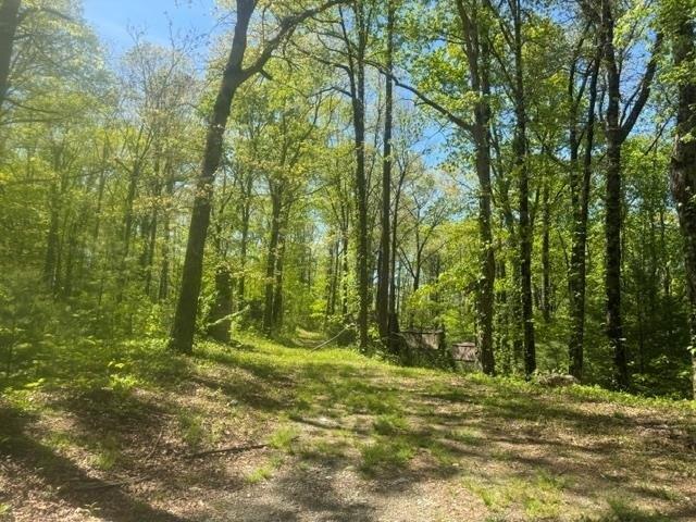 557 Shelton Rd, Suches, GA 30572