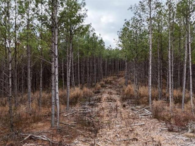 557 Taliaferro Springs Rd, Lyerly, GA 30730 | MLS #7798