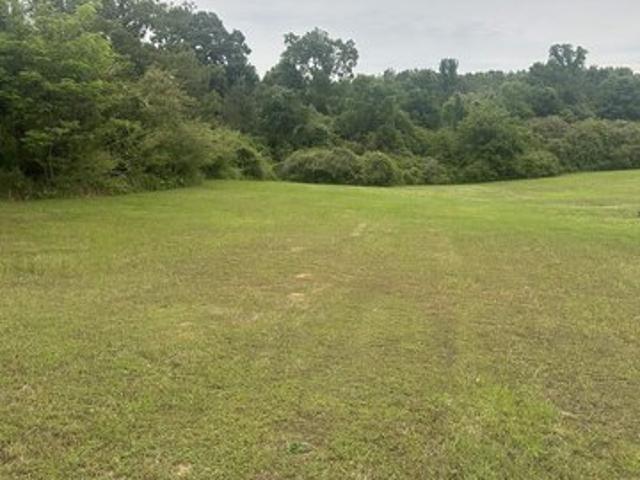 557 Thomaston Rd Lot 32, Lincoln, AL 35096
