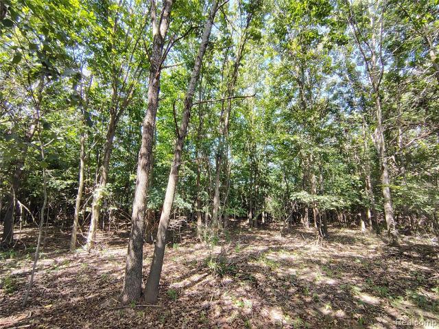 Parcel D Brigham Road