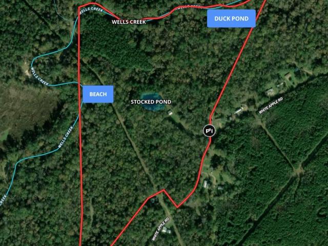 5582 White Apple Rd, Roxie, MS 39661 | MLS #4145