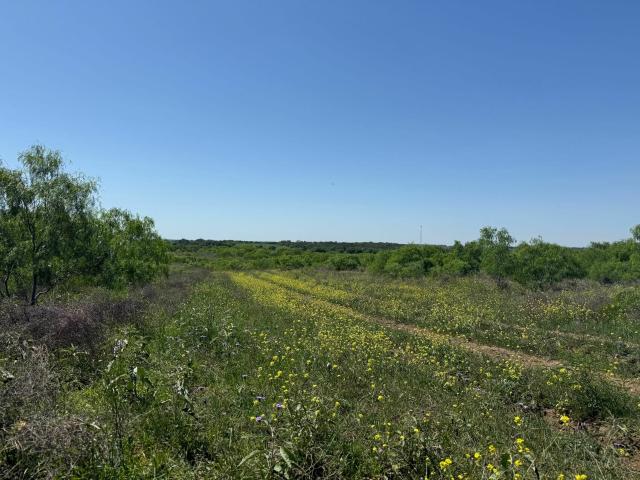 558+/ Acres McMahon Ranch Caldwell County FM 3158, Dale, US, TX