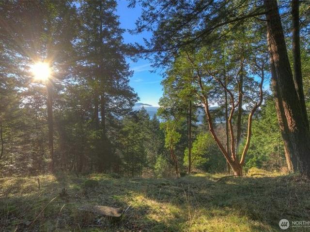 558 Buck Mt Rd, Orcas Island, WA 98245