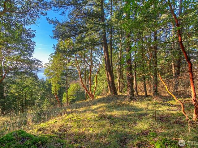 558 Buck Mt. Road