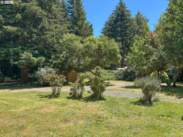 55955 spring creek rd