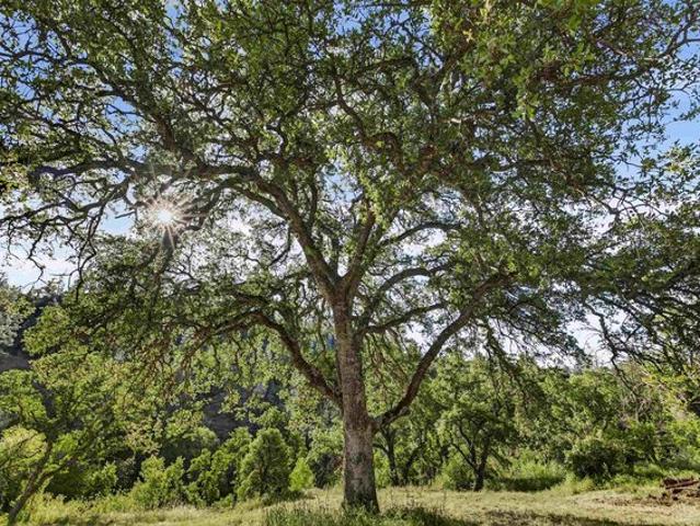5595 Dream Valley Rd, Red Bluff, CA 96080