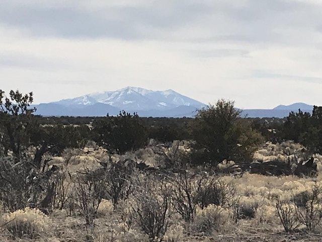 5597 S Cattle Tank Rd, Williams, AZ 86046