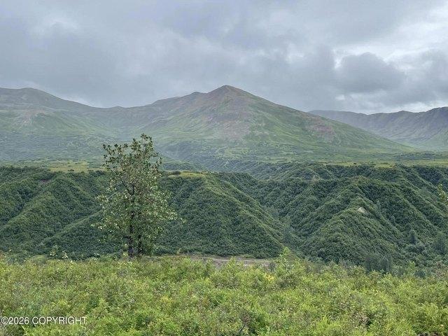 5598 S Lucky Creek Cir, Trapper Creek, AK 99683