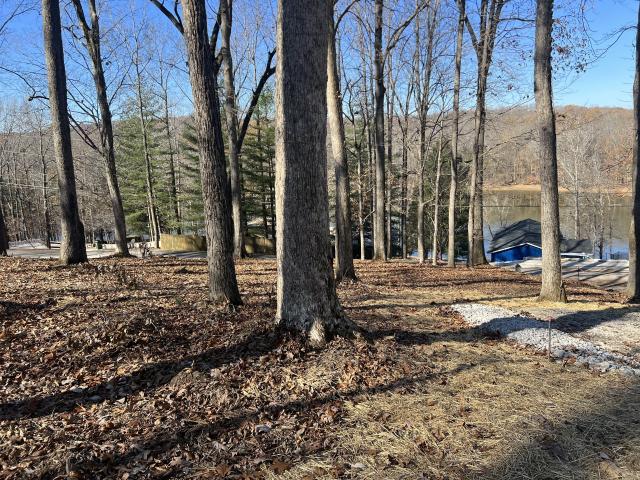 559 Hickman Shores Rd