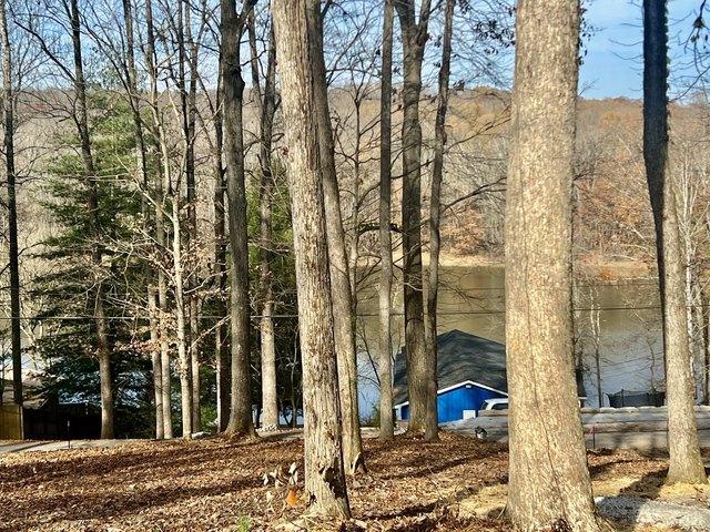 559 Hickman Shores Rd, Dover, TN 37058