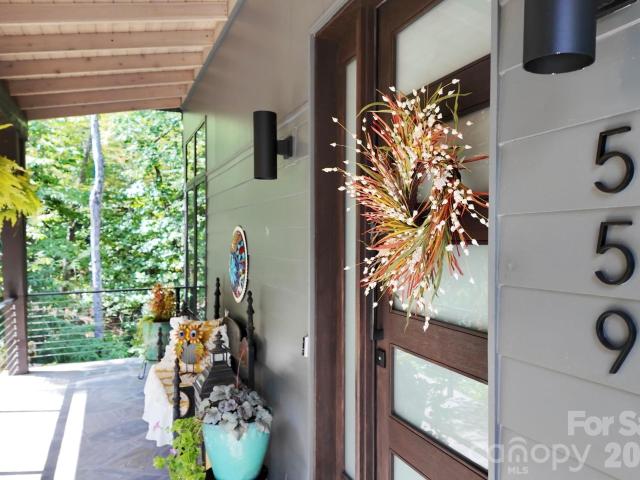 559 Shining Rock Path