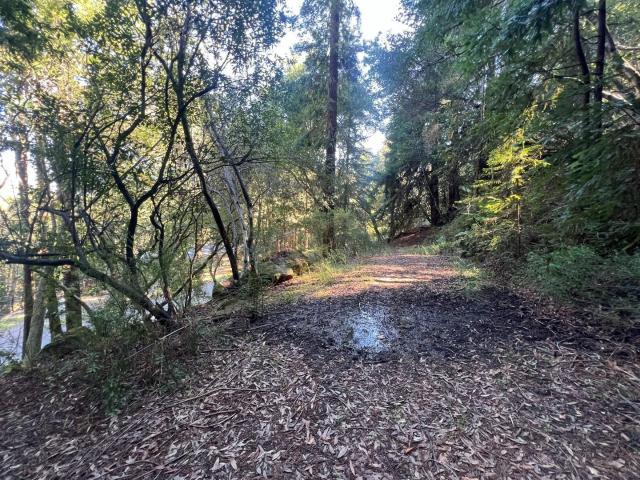 559 Patrol Rd, Woodside, CA 94062 | MLS #ML82036 | Compass