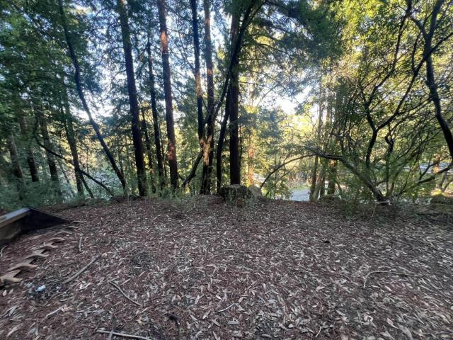 559 Patrol Road