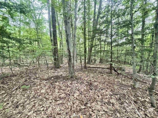 55 10 Longwood Dr, Greenfield, NH 03047