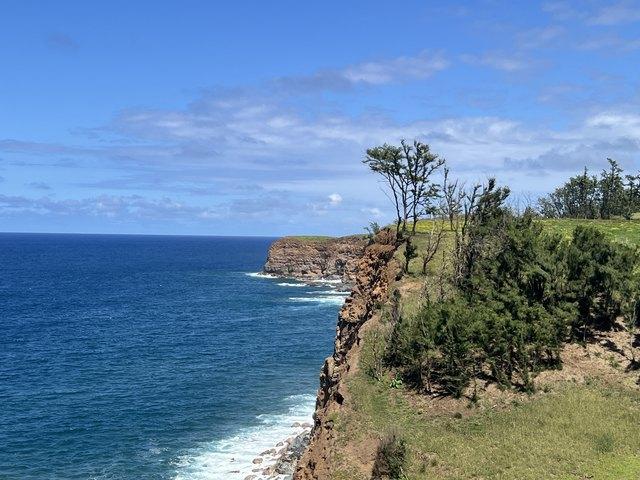 55 199 B Hoea Rd, Hawi, HI 96719