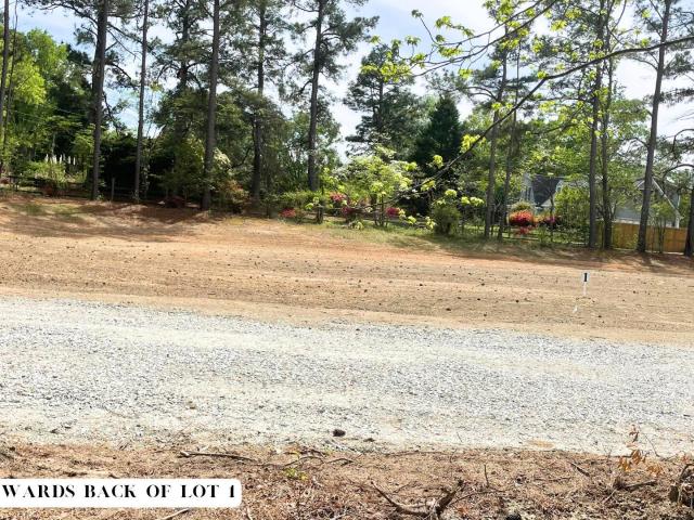 55 Weston Sky Ln