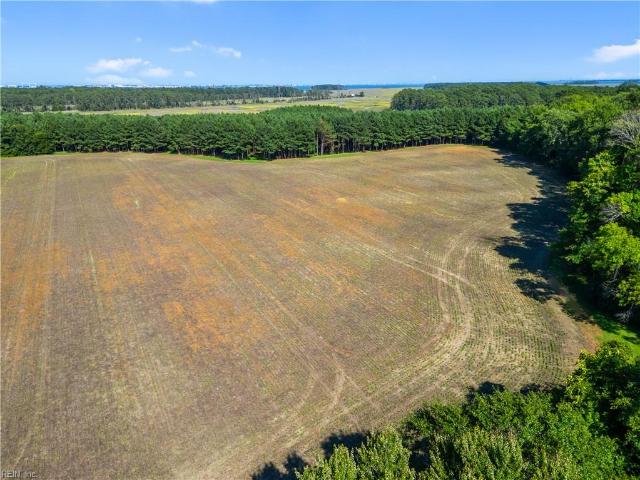 55 Ac Vellines LN