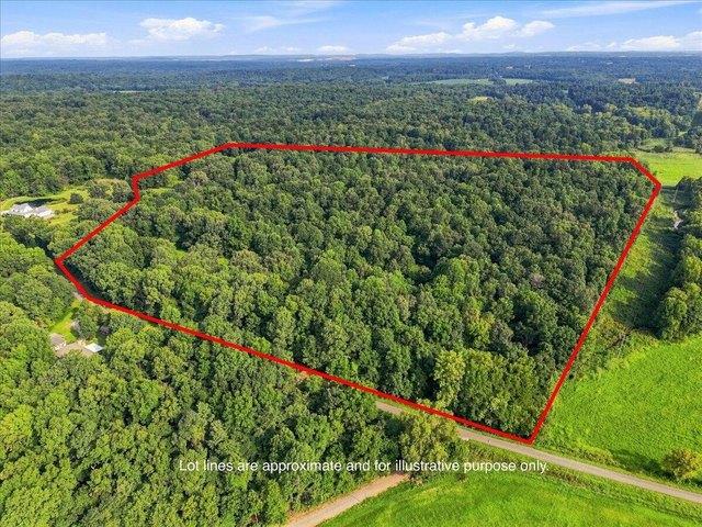 55 Acres Bill Thompson Rd, Kuttawa, KY 42055