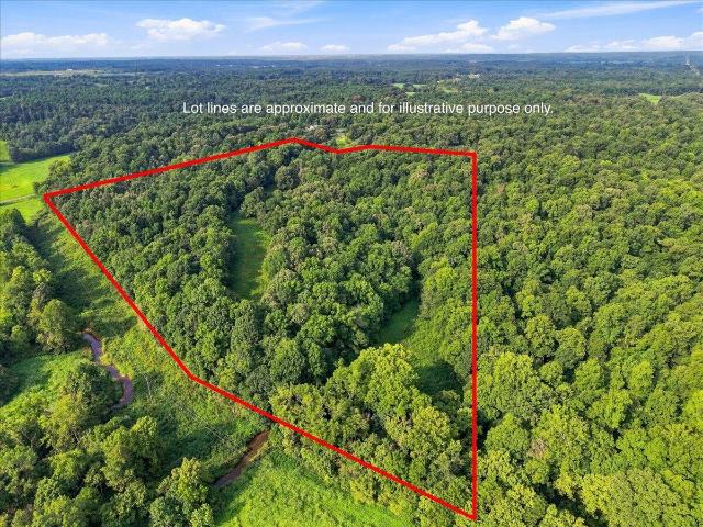 55 Acres Bill Thompson Road