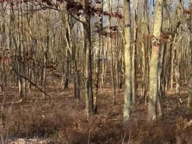 55 Arapahoe Rd Unit MV2330, Penn Forest Township, PA 18210