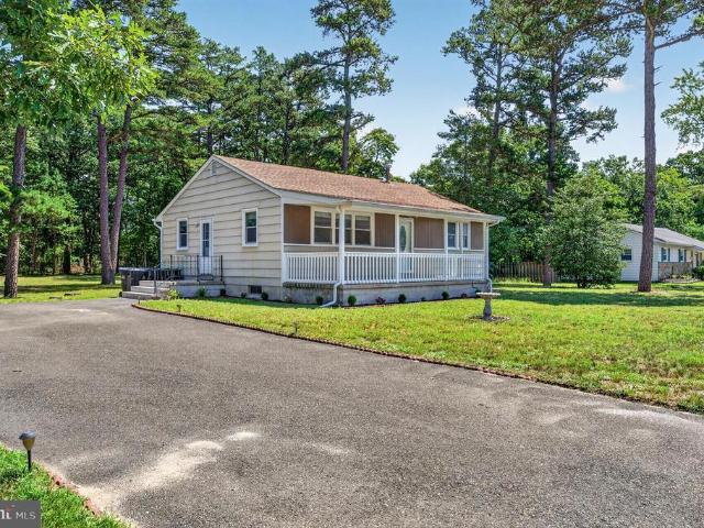 55 Bittle Avenue