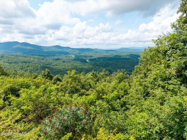 55 Buck Ridge Drive