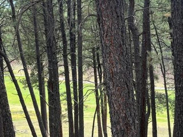 55 Champions Ter, Angel Fire, NM 87710