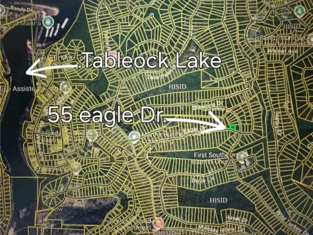 55 EAGLE DR, HOLIDAY ISLAND, AR 72631